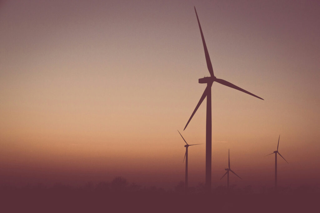 What are dynamic energy tariffs? Opportunities & Savings Tip